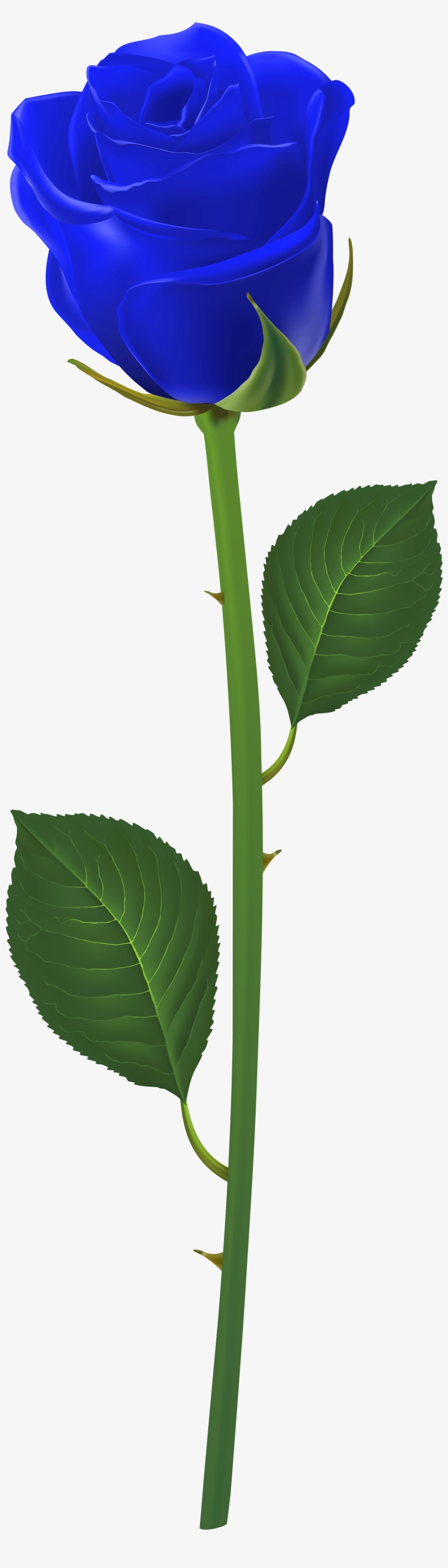 Rose With Stem Blue Png Clip Art - Long Stem Purple Rose - Free ...
