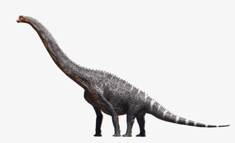 Brachiosaurus Transparent Background - Brachiosaurus Png - Free ...
