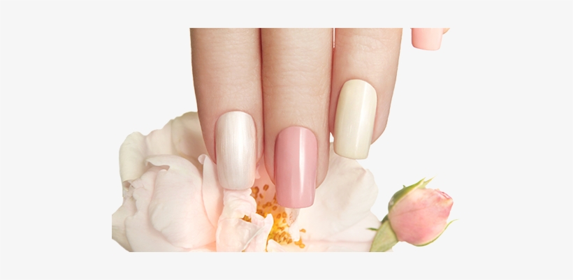 Nails1b - Nails Png - Free Transparent PNG Download - PNGkey