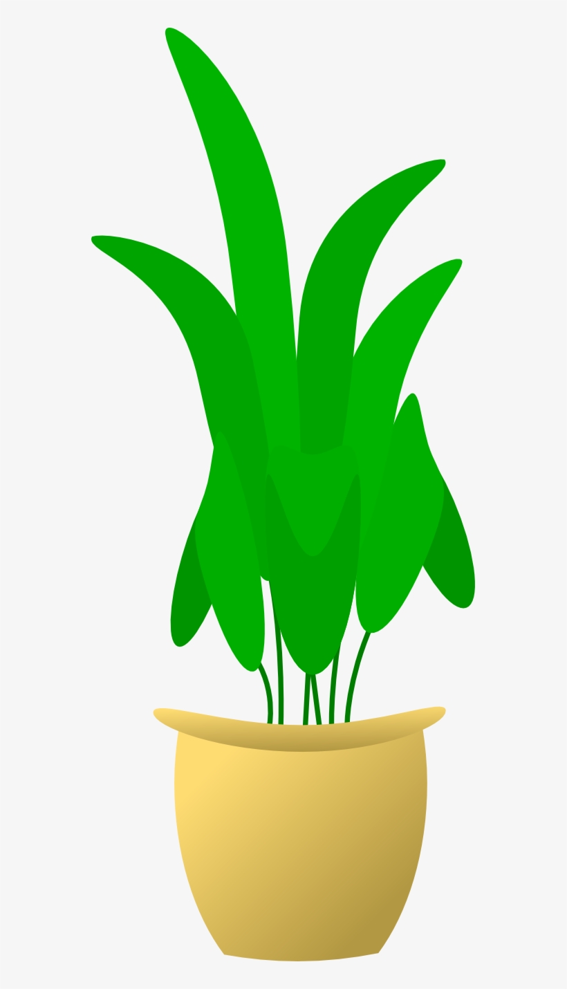 Flowers Xochi - - Plant Cartoon Png - Free Transparent PNG Download ...