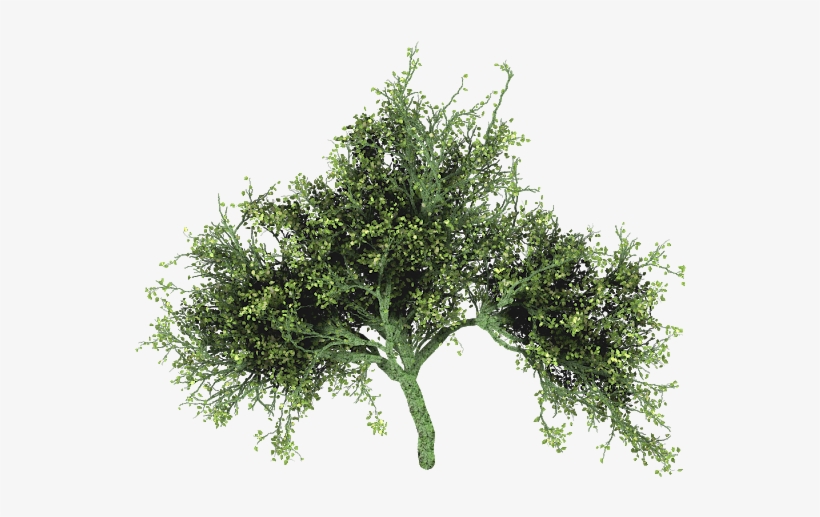 Source - - Art - Free Transparent PNG Download - PNGkey