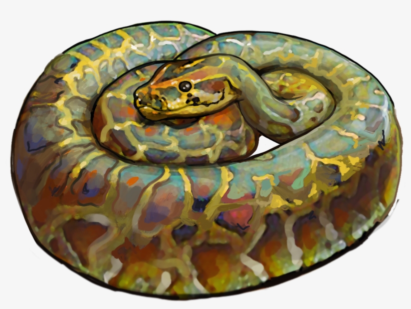 3 Python - Burmese Language - Free Transparent PNG Download - PNGkey