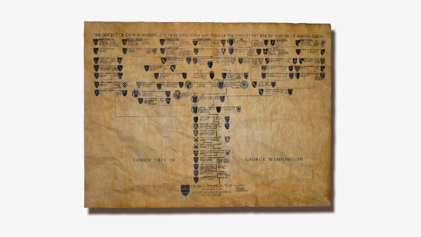 George Washington Family Tree Today