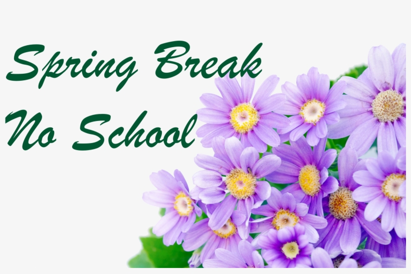 Spring Break - Free Transparent PNG Download - PNGkey