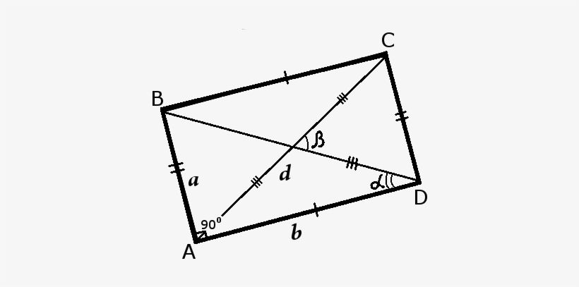 Diagonales De Un Rectangulo Propiedades - Free Transparent PNG Download ...