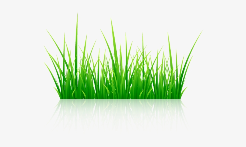 Más De - Vector Graphics - Free Transparent PNG Download - PNGkey