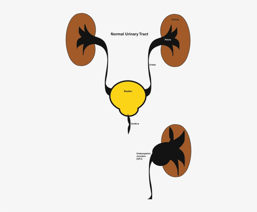 Upj - Clip Art - Free Transparent PNG Download - PNGkey