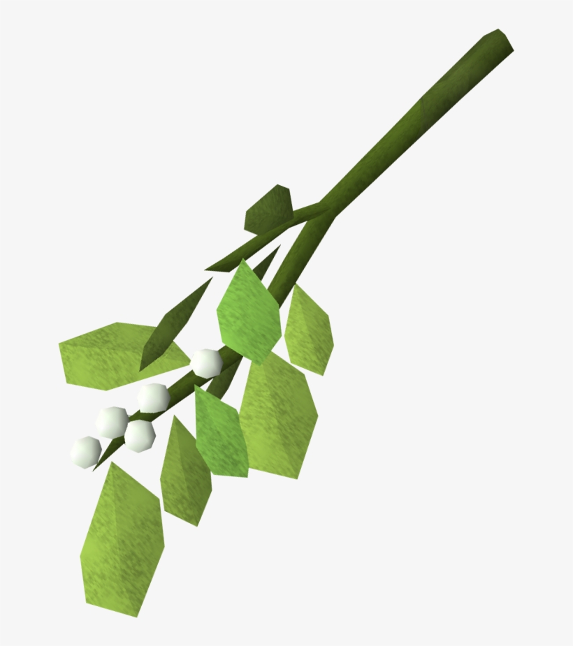 Wiki - Free Transparent PNG Download - PNGkey