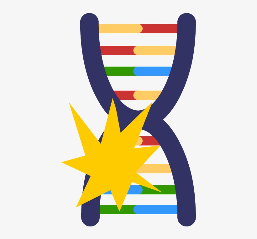 Genetic Mutations - Dna Mutation Icon - Free Transparent PNG Download ...