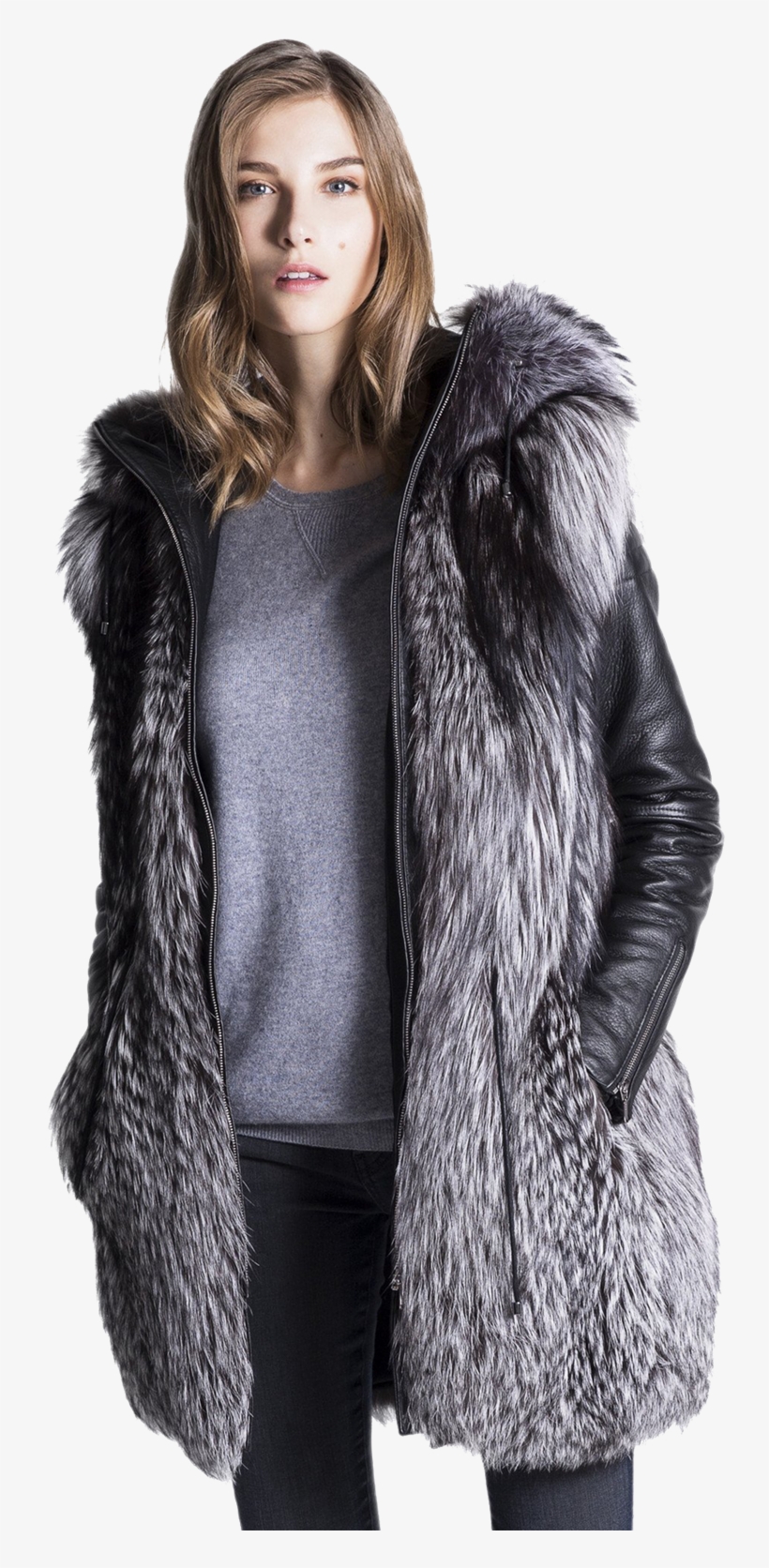 Silver Fox - Free Transparent PNG Download - PNGkey