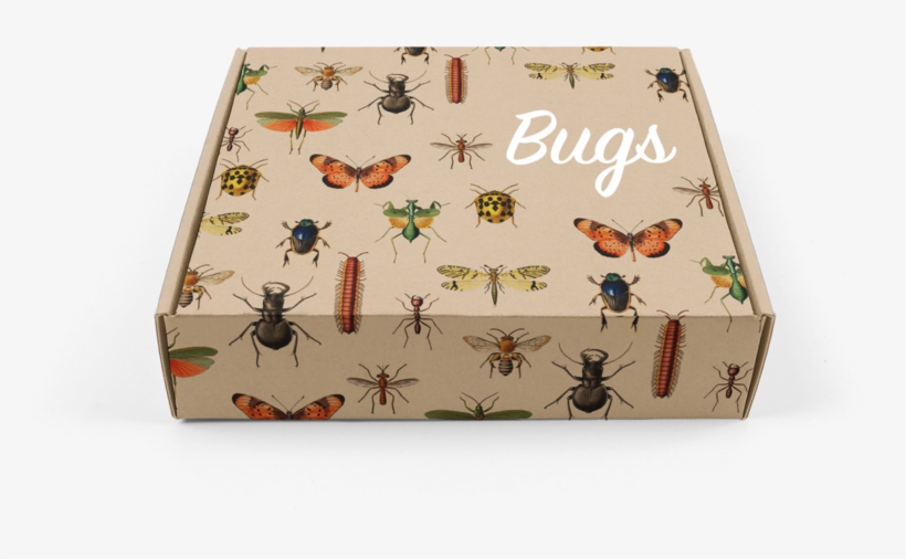 Bugs - Free Transparent PNG Download - PNGkey
