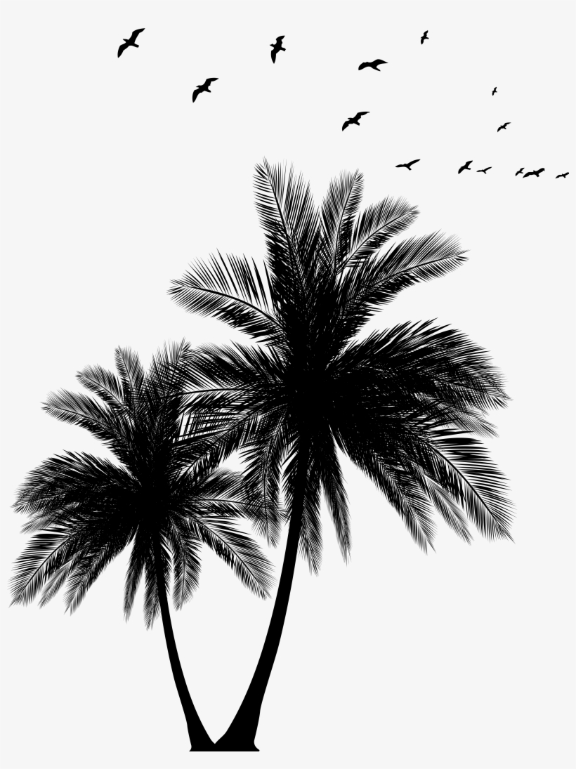 Palms Png - Free Transparent PNG Download - PNGkey