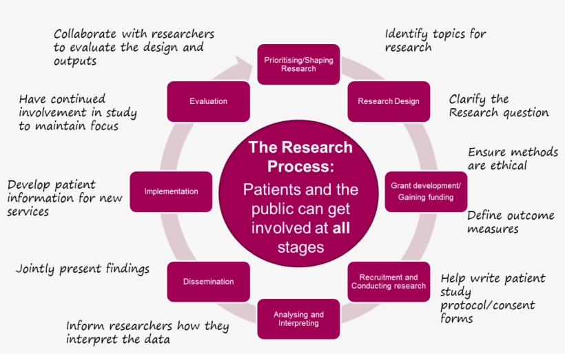 Research - Data Management Model - Free Transparent PNG Download - PNGkey