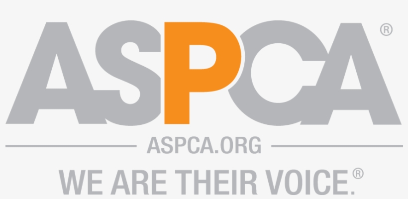 Aspca Logo Square - Aspca We Are Their Voice See - Free Transparent PNG ...