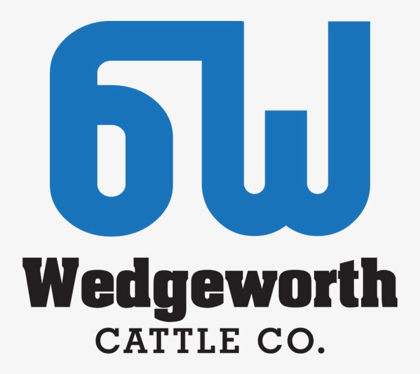 Know Your Logo - Logo - Free Transparent PNG Download - PNGkey