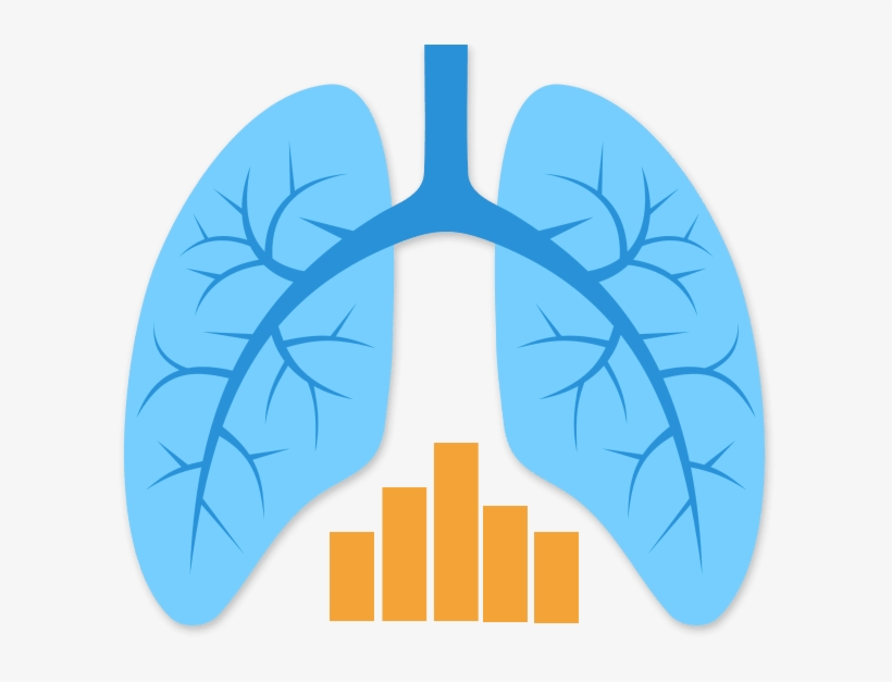 Header-lungs - Lungs Blue Clipart - Free Transparent PNG Download - PNGkey