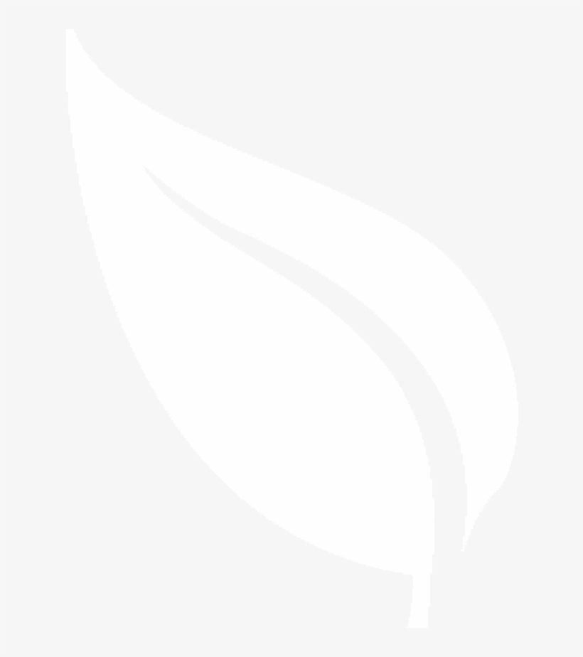 White Leaf Icon Png - Free Transparent PNG Download - PNGkey