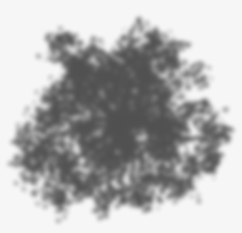 Tree Shadow Png - Tree - Free Transparent PNG Download - PNGkey