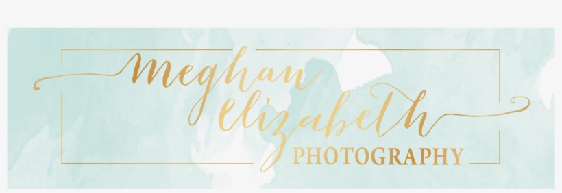 Calligraphy - Free Transparent PNG Download - PNGkey