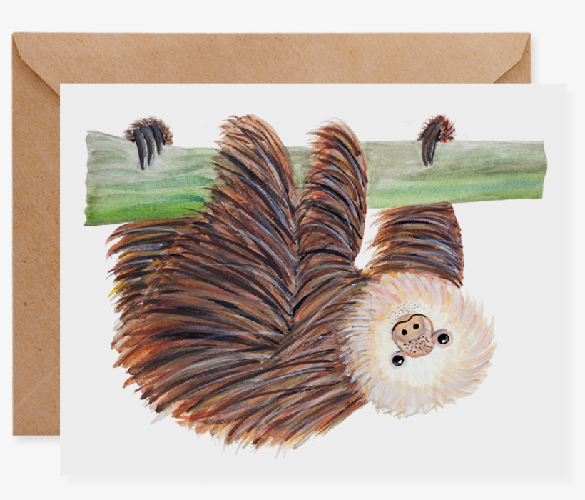 Three Toed Sloth - Sloth - Free Transparent PNG Download - PNGkey