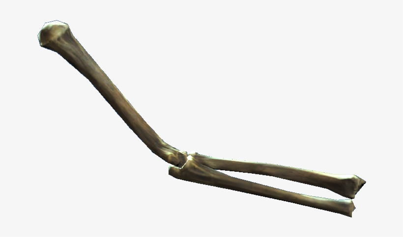 Bones Png Pic - Real Bones Png - Free Transparent PNG Download - PNGkey