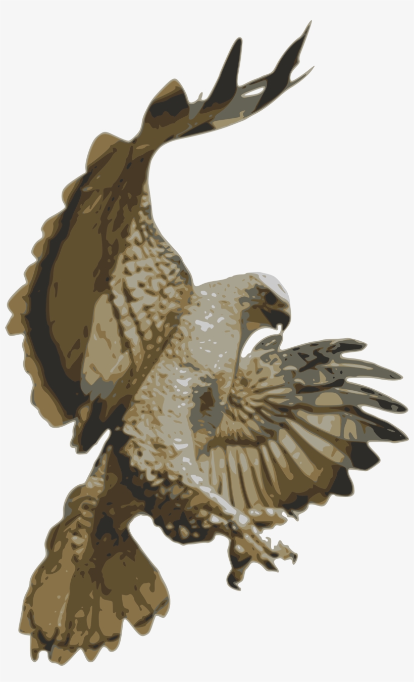 Hawk Pouncing - Free Transparent PNG Download - PNGkey