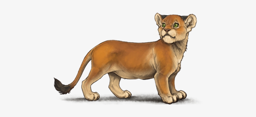 Charmed Dwarf Lioness Lioden - Free Transparent PNG Download - PNGkey