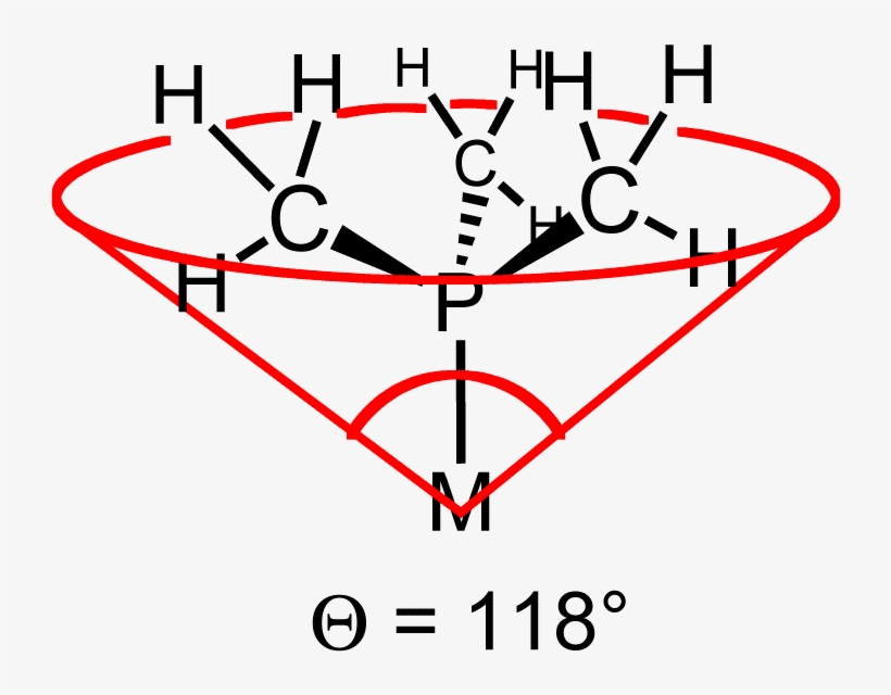 Cone Angle - Free Transparent PNG Download - PNGkey