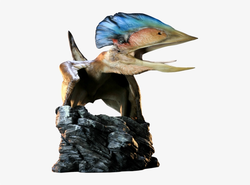 Dinosauria Maquette Tupuxuara - Sideshow Dinosauria - Free Transparent ...