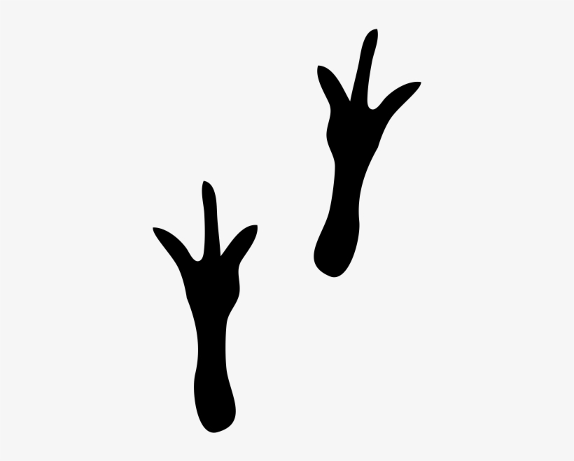 Pterodactyl Footprint - Free Transparent PNG Download - PNGkey