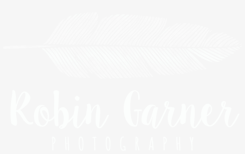 Blog At Wordpress - Calligraphy - Free Transparent PNG Download - PNGkey