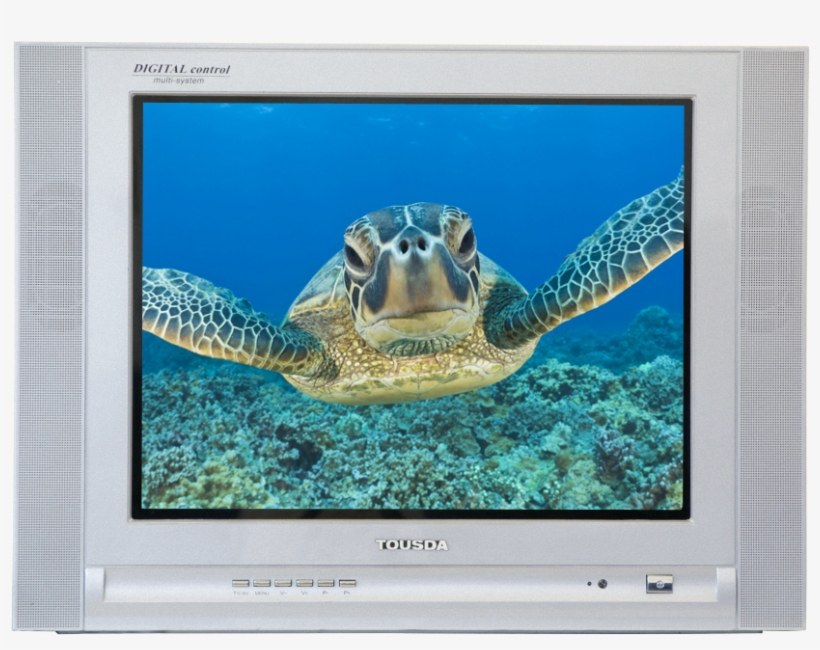 Ktv Tv - Free Transparent PNG Download - PNGkey