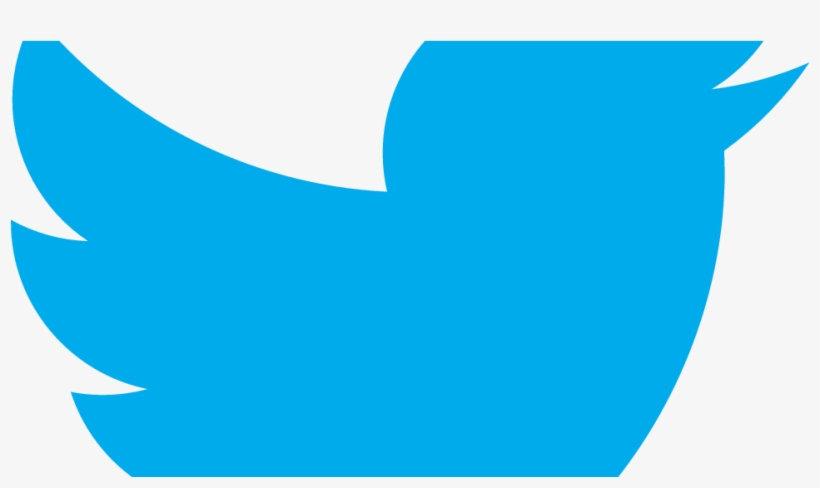 Twitter Bird Logo Red - Free Transparent PNG Download - PNGkey