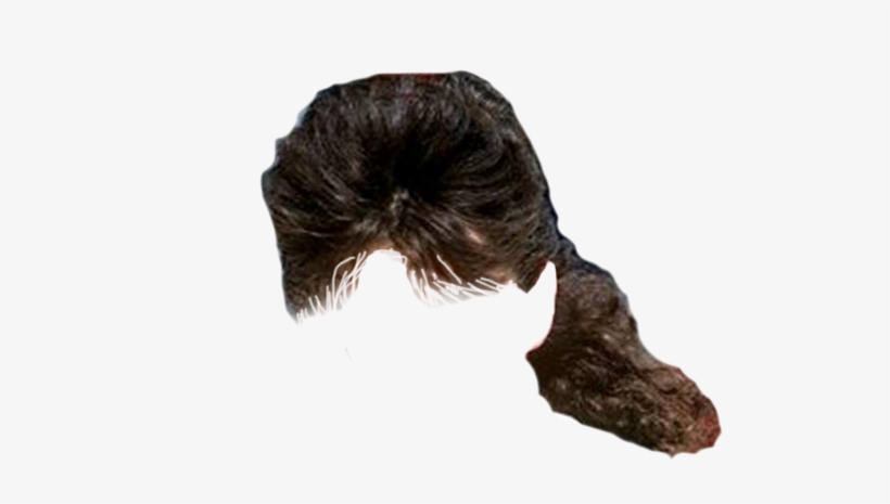 Mullet Hair Png - Mullet Png - Free Transparent PNG Download - PNGkey