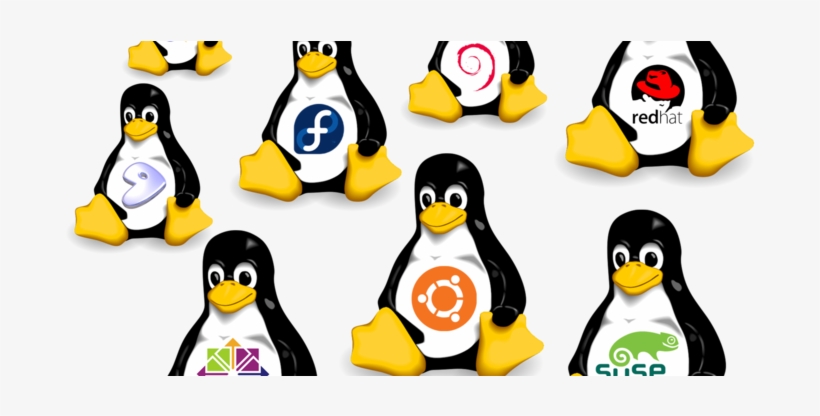 Linux Mascote - Free Transparent PNG Download - PNGkey