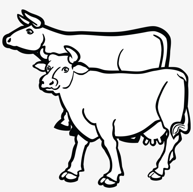 Group Of Cow Drawing - Free Transparent PNG Download - PNGkey