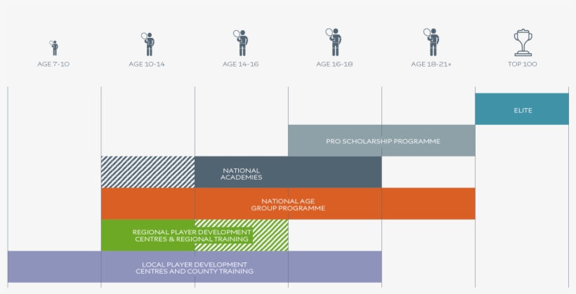 Player Pathway Overview - Player - Free Transparent PNG Download - PNGkey