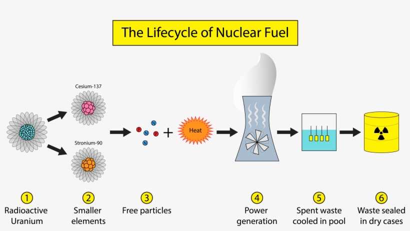 Looking For A Trash Can Nuclear Waste Management In - Nuclear Waste Life Cycle - Free ...