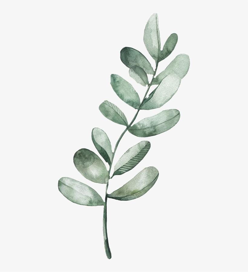 Report Abuse - Leaf Watercolour - Free Transparent PNG Download - PNGkey