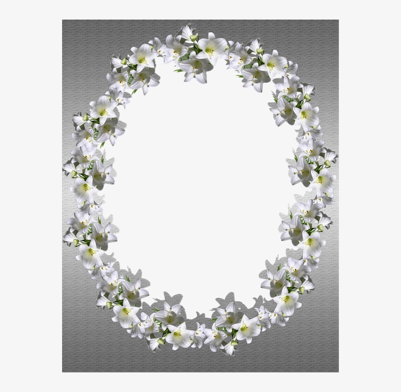 Frame, Silver, Floral, Decoration, Design - ่ Jasmine Frame Png - Free ...