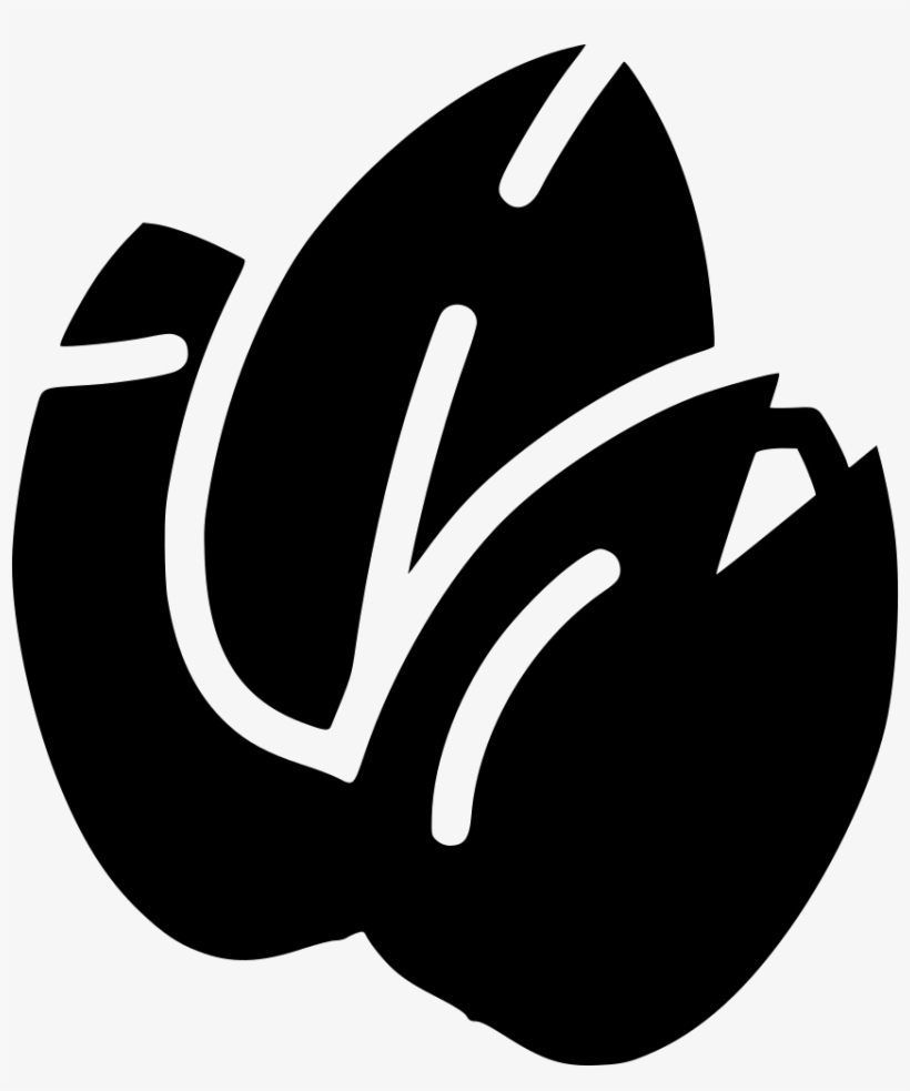 Png File - Seed Icon White Png - Free Transparent PNG Download - PNGkey