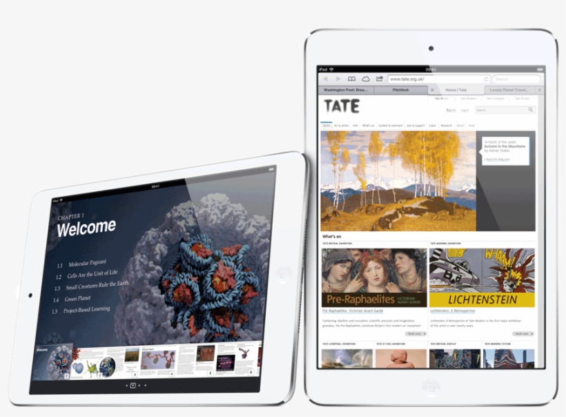 Custom School Portal Ipad-education - Apple Ipad Mini Wi-fi + 4g 1st ...