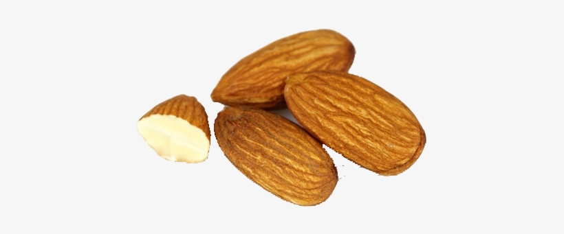 Almond Png - Almond - Free Transparent PNG Download - PNGkey