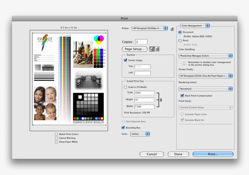 Make - Color Print Test Page Pdf - Free Transparent PNG Download - PNGkey