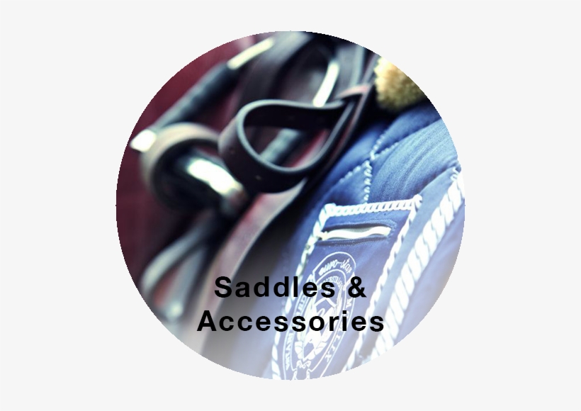 Shop Saddles & Accessories - Equestrianism - Free Transparent PNG ...