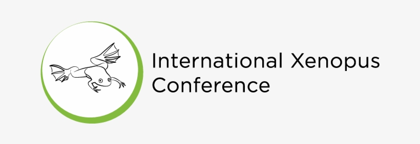 Quick Links - Free Transparent PNG Download - PNGkey