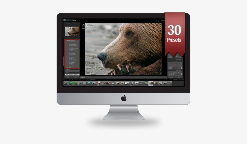 Lightroom Presets Running On Imac - Grizzly Bear - Free Transparent PNG ...