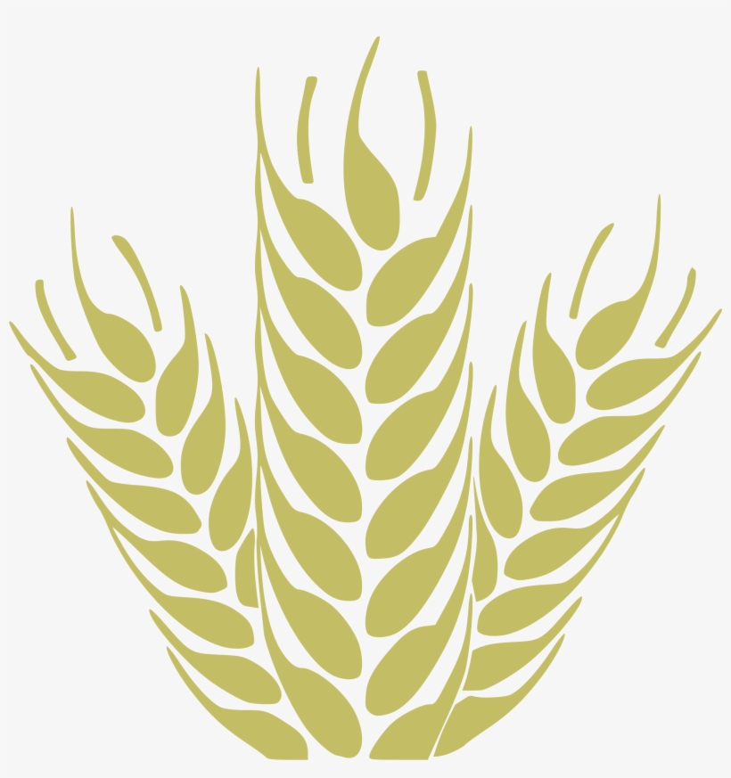 Wheat Vector Png - Wheat Icon Png - Free Transparent PNG Download - PNGkey
