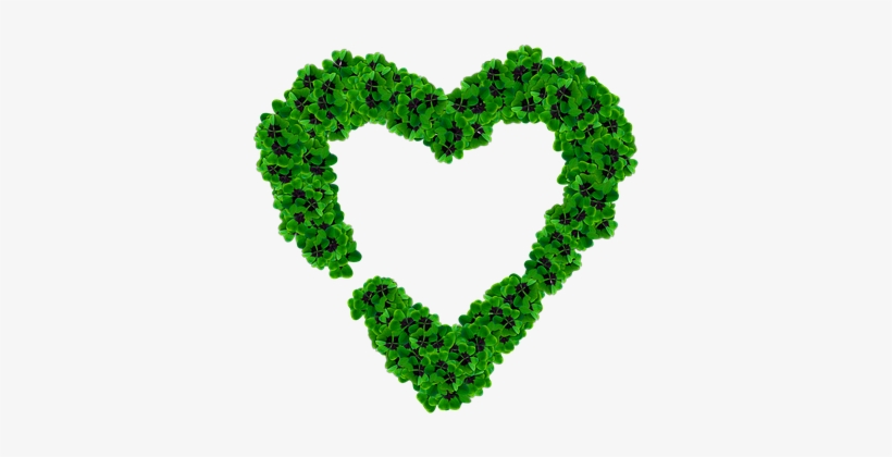 Heart Clover Png Love Saint Patrick Luck I - Clover In Heart - Free ...