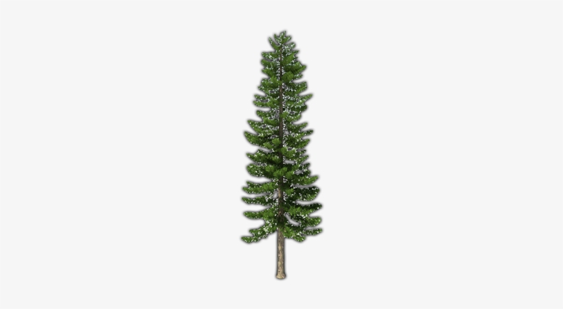 Fir-tree Png File - Pine Trees Transparent Png - Free Transparent PNG ...